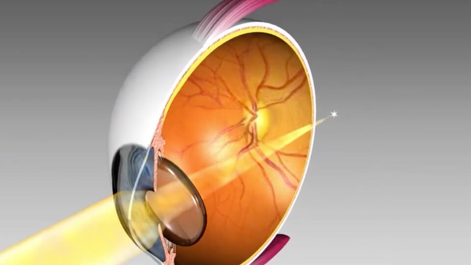 Eye Anatomy Archive – Northpoint Eyecare